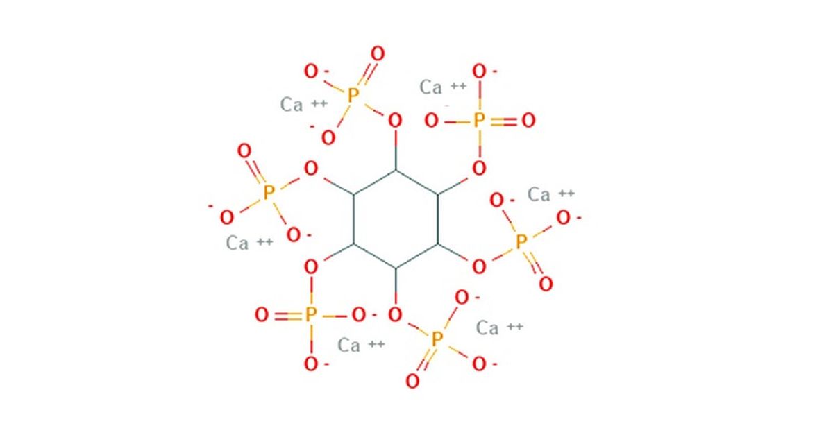 The Role of Calcium in Phosphorus Digestibility | Huvepharma