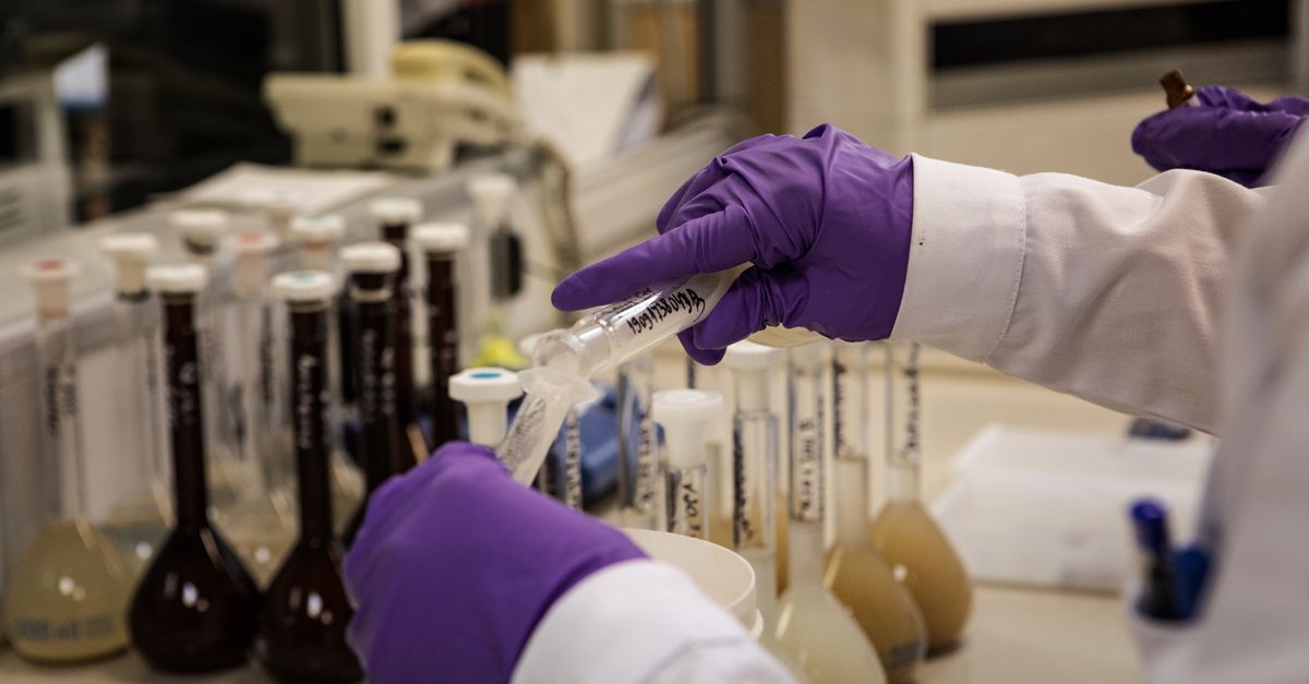 How Butyrate Producing Bacteria Can Support Food Safety | Huvepharma