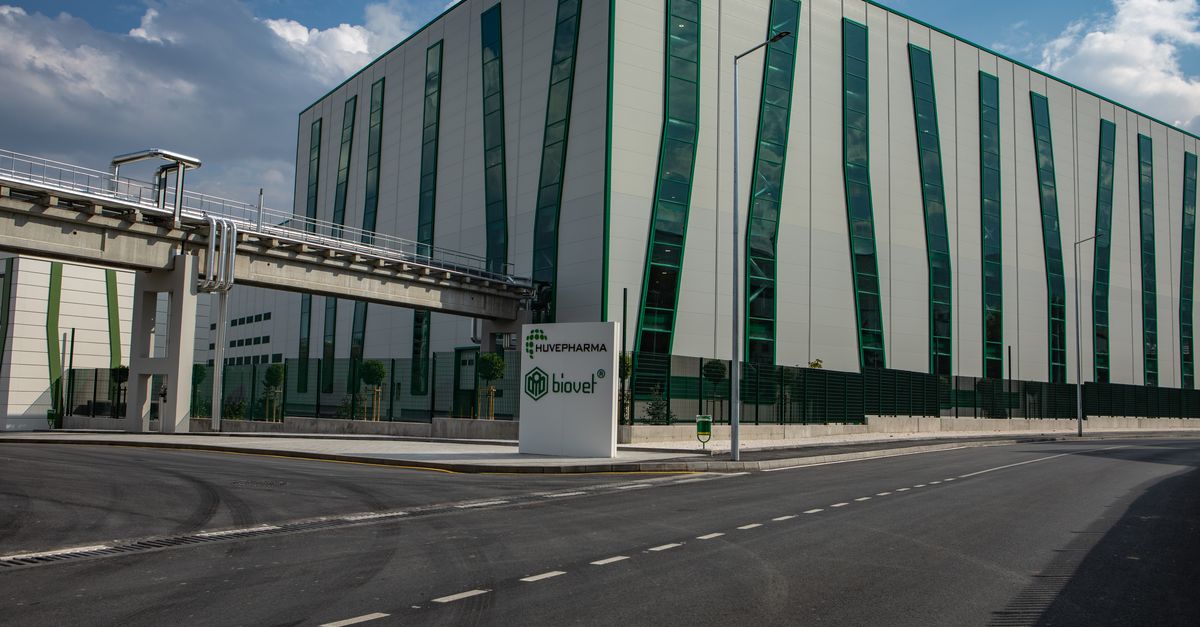 Monimax Cuts Losses Due To Coccidiosis | Huvepharma