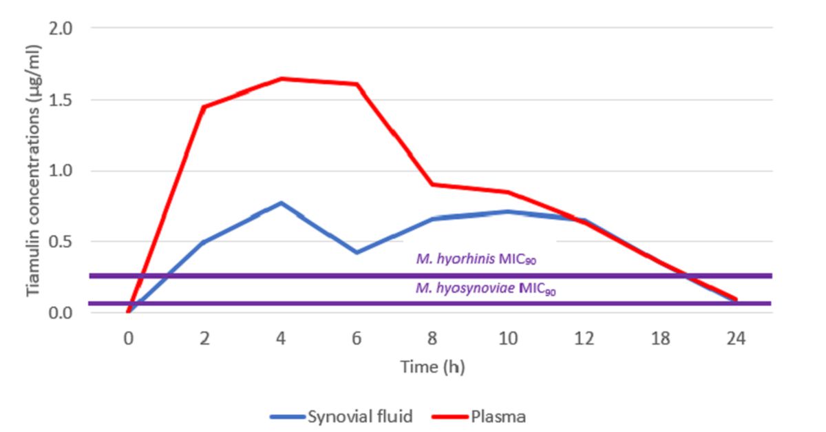 Vetmulin® / Rodotium® (Tiamulin): An Excellent Choice for the Treatment ...