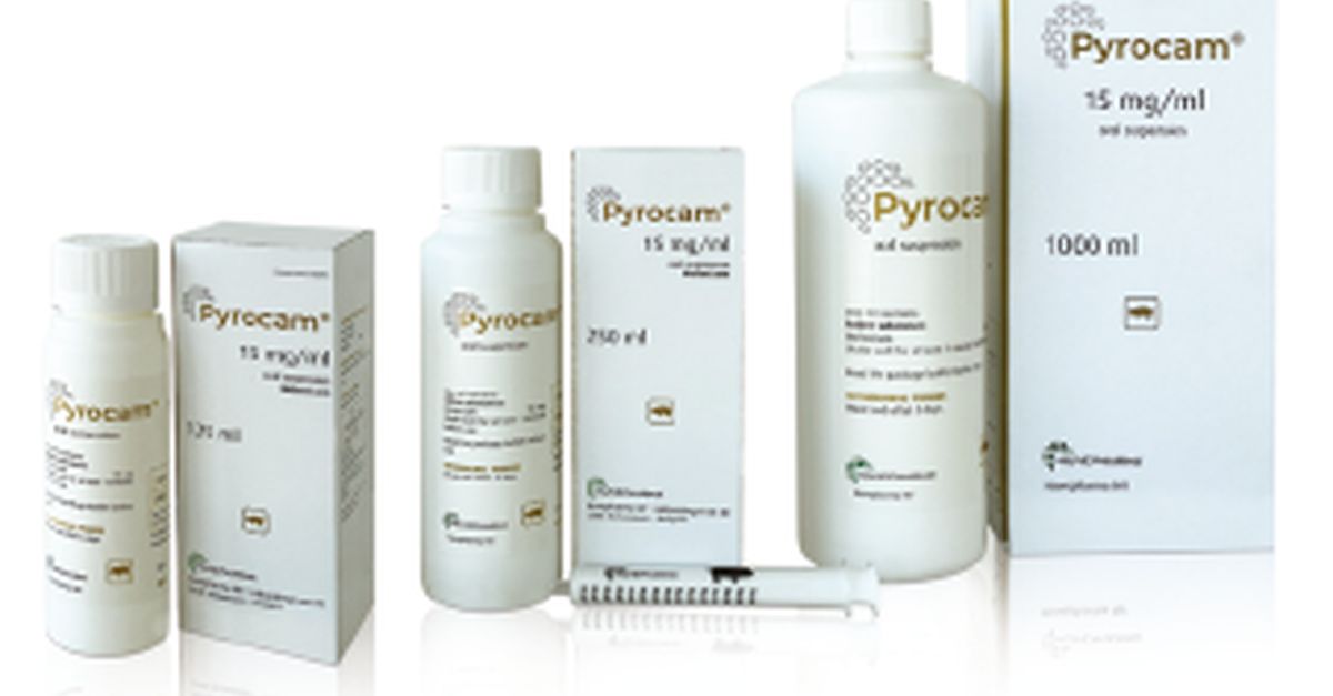 Benefits Of Oral Use Of Non-Steroidal Anti-Inflammatory Drugs In Pigs ...