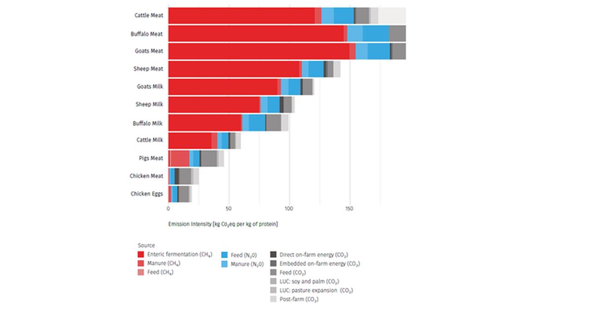Greenhouse Gases And Carbon Footprint: What Are They? | Huvepharma