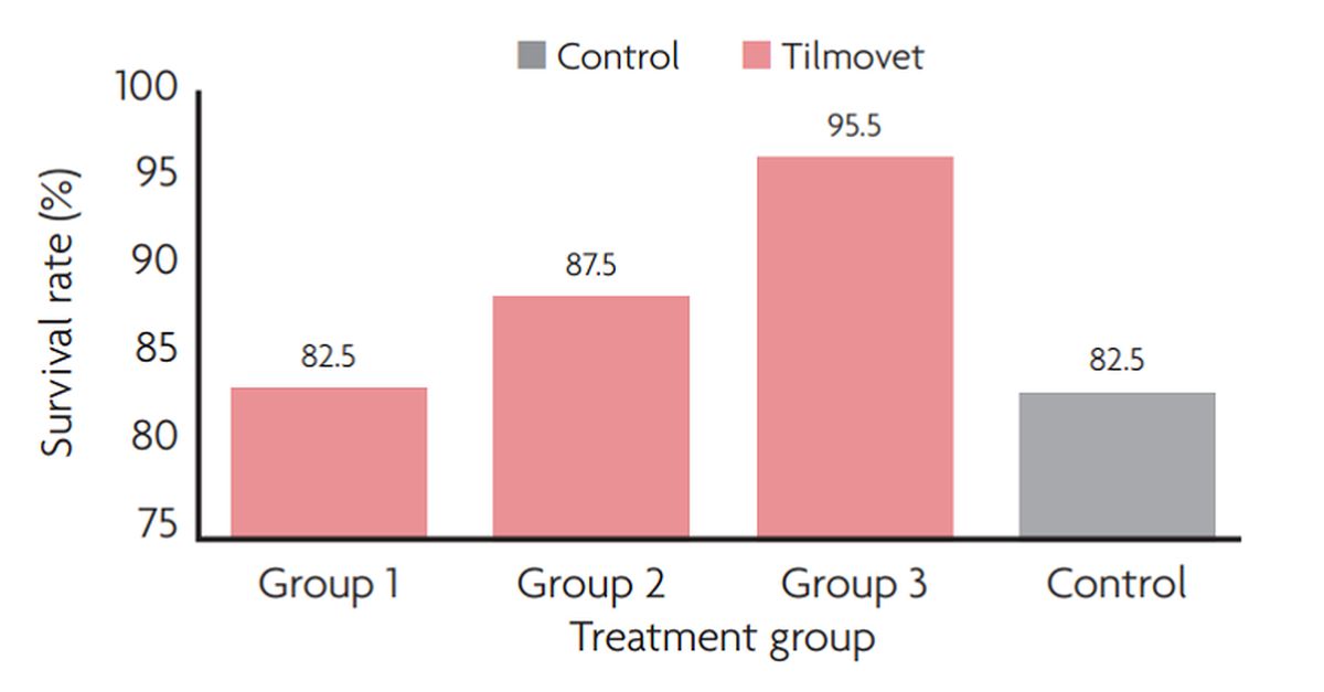 The Effect of Water Medication For PRRS-Positive Pig Herds | Huvepharma