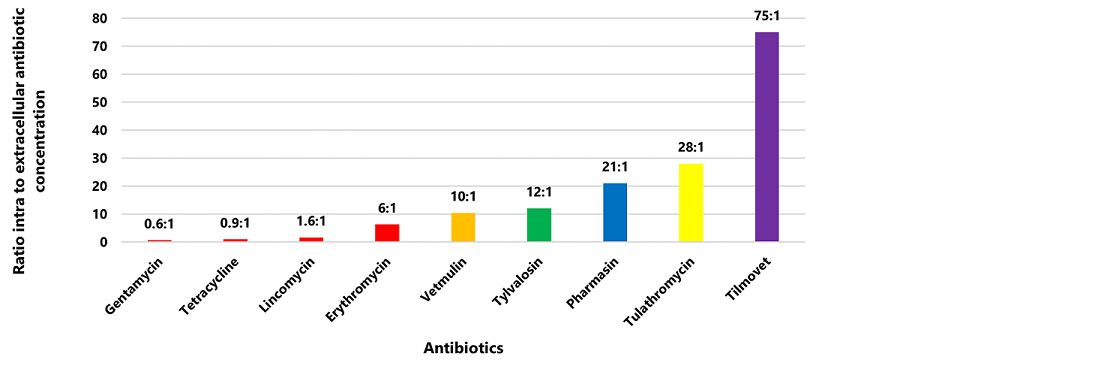 Effectiveness of Tilmicosin (Tilmovet®) Against PRRS and Complicated ...