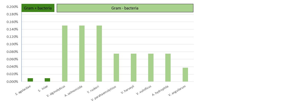 Efficacy Of Huvepharma's Hygiene Products In Aquaculture | Huvepharma